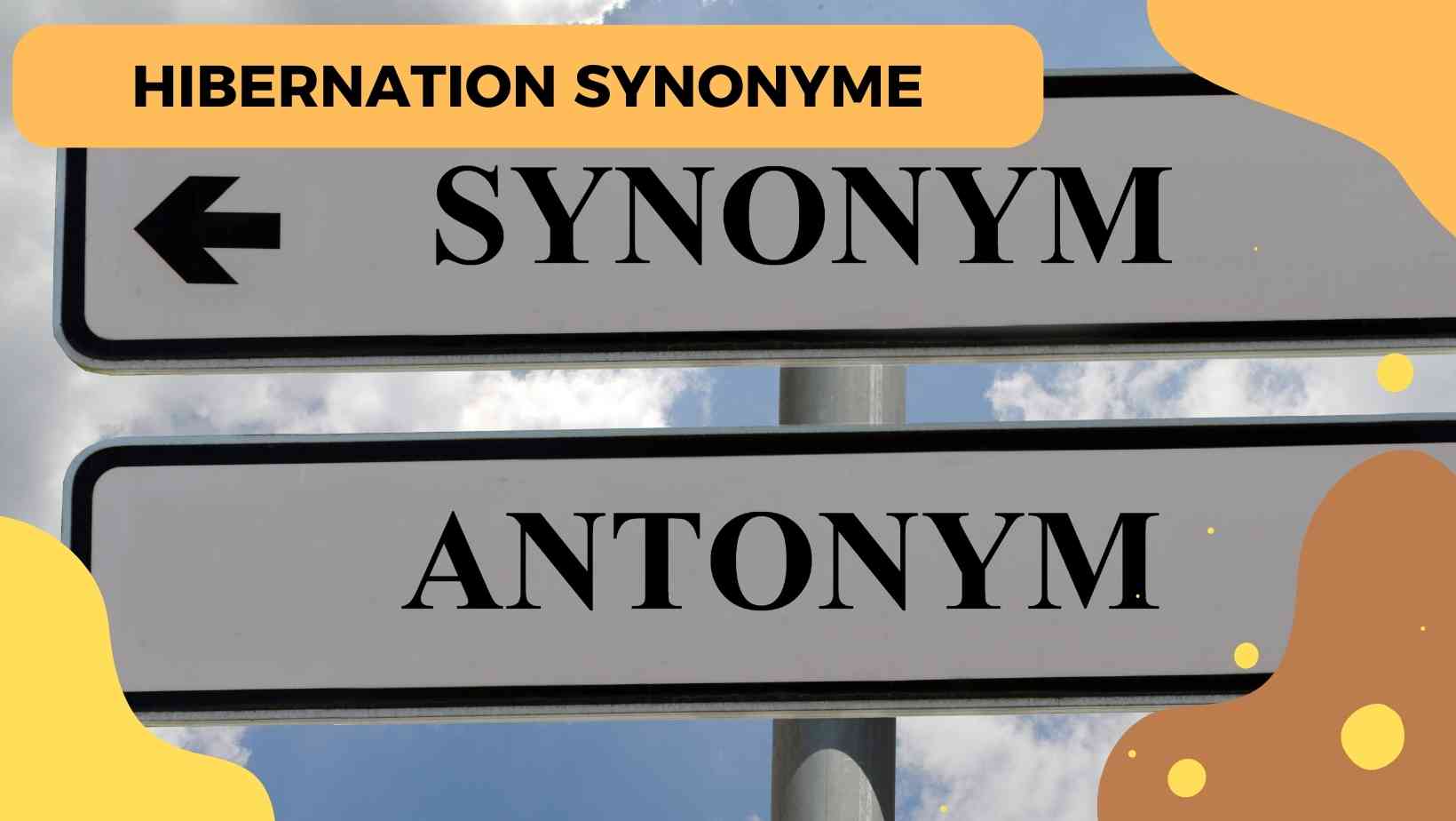 Hibernation : Découvrez les synonymes de cette période de repos ...